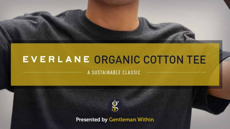 Everlane Organic Cotton T-Shirt Review: How's the Fit? (2023)