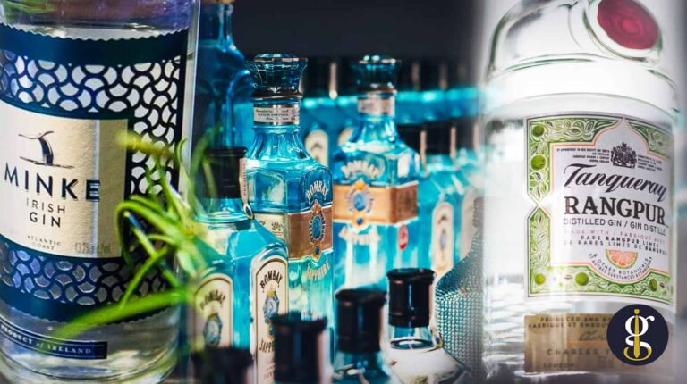 10 Exceptional Gins Under $100 (Best Brands in 2024)
