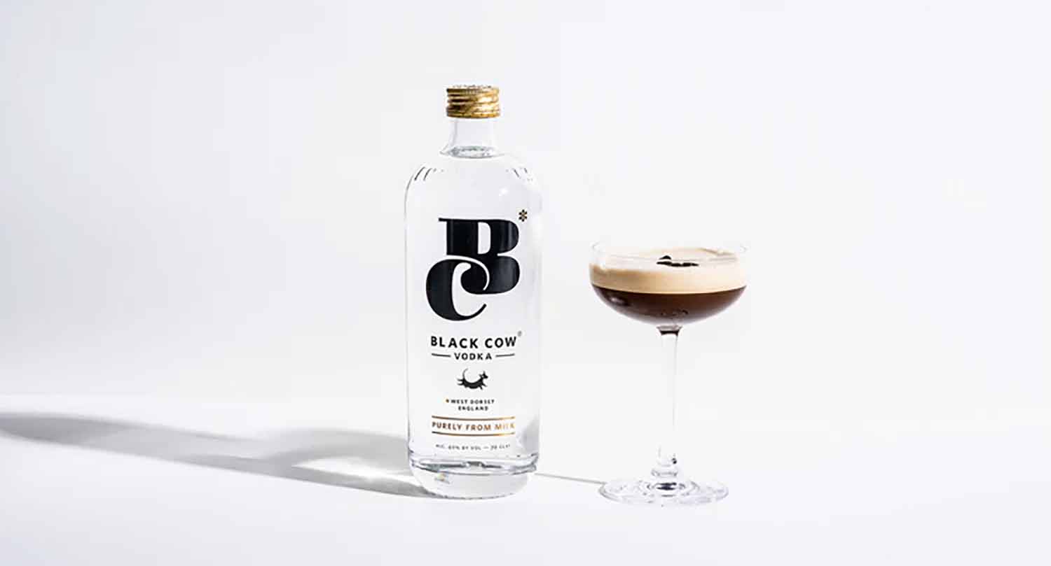 10 Best Vodka Brands Under $100 (Vodkas You Have to Try)