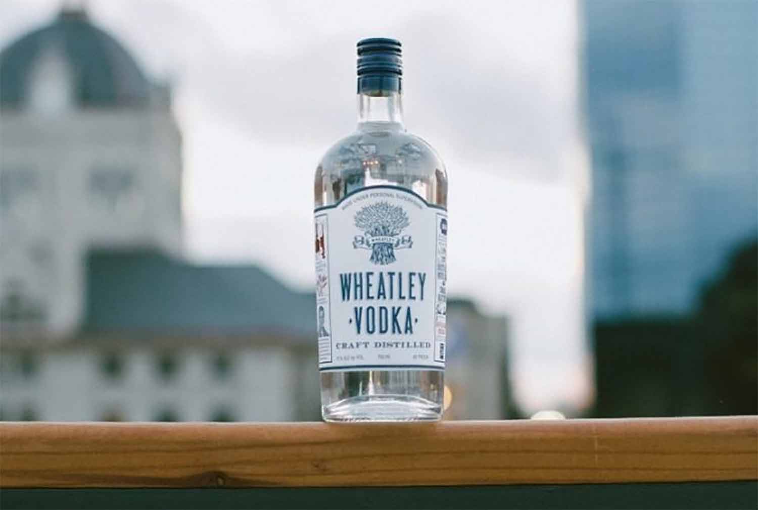 10 Best Vodka Brands Under $100 (Vodkas You Have to Try)